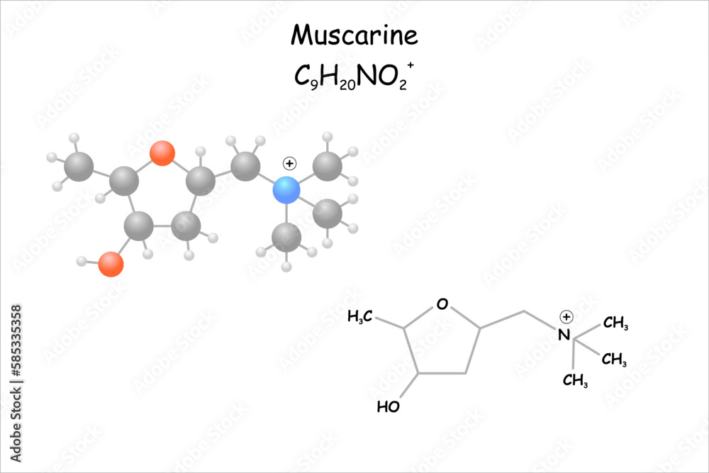 Stylized Molecule Model Structural Formula Of Muscarine Toxin Of The Fly Agaric Amanita