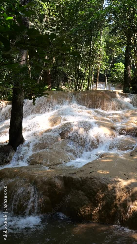 vertical footage of crystal clear waterfall stream flows through the ...