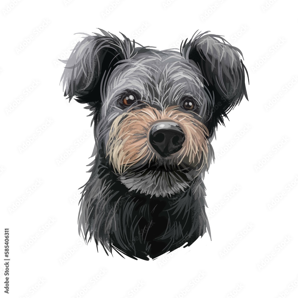 Pumi dog portrait isolated on white. Digital art illustration of hand ...