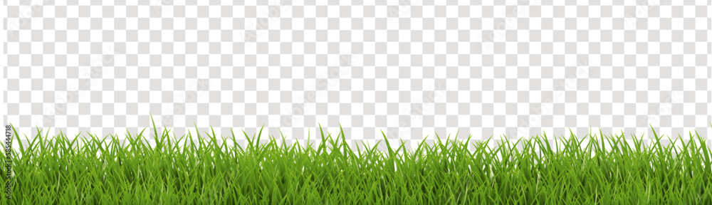 green grass background Stock Vector | Adobe Stock