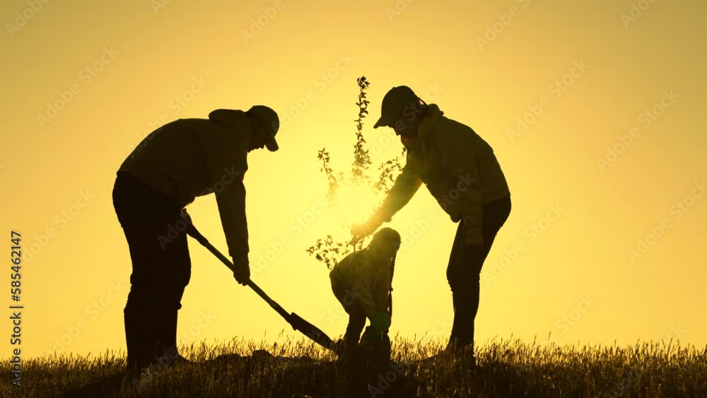 Dad mom child planting tree. Happy family, child planting trees, sunny ...