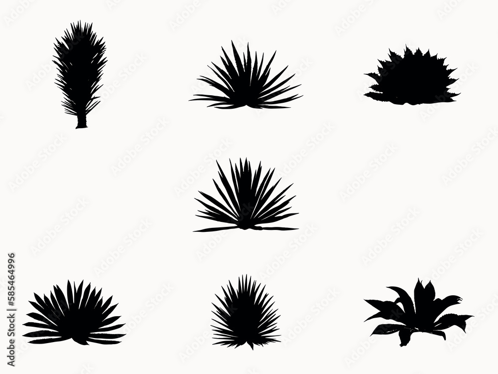 set of agave plant silhouette vector illustration Stock Vector | Adobe ...