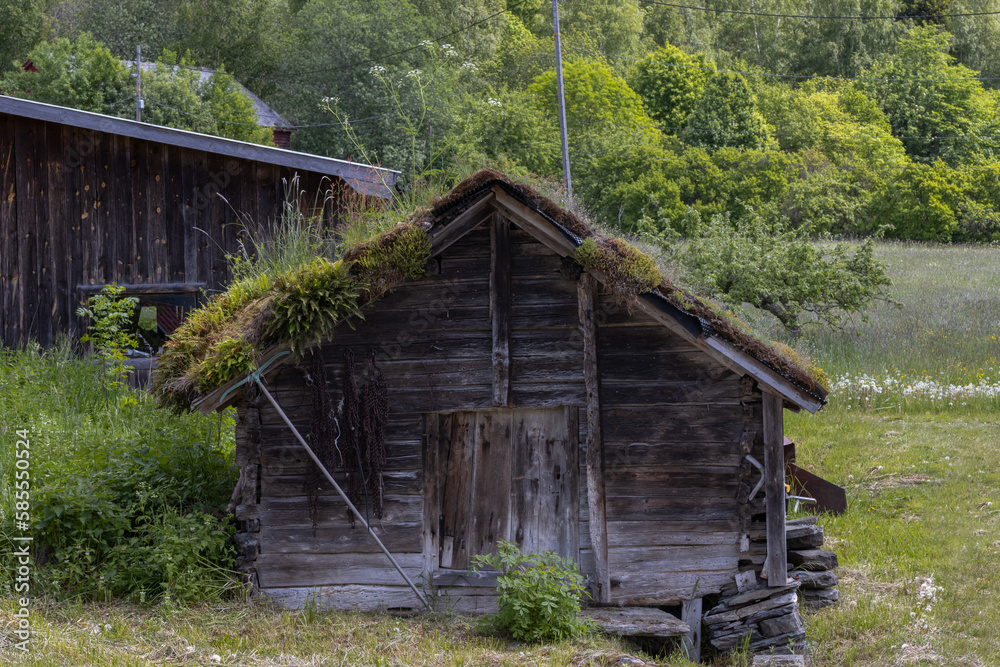 Tradtional wooden hut with green roof at the Norwegian village of Ornes ...