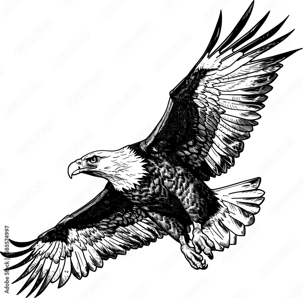 Eagle Flying Outline