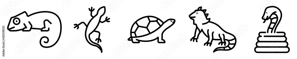 Conjunto de iconos de reptiles. Animales vertebrados. camaleón ...
