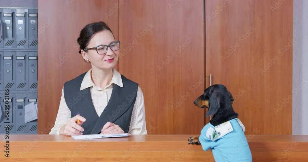 Behind reception desk, an administrator in formal clothes and glasses ...