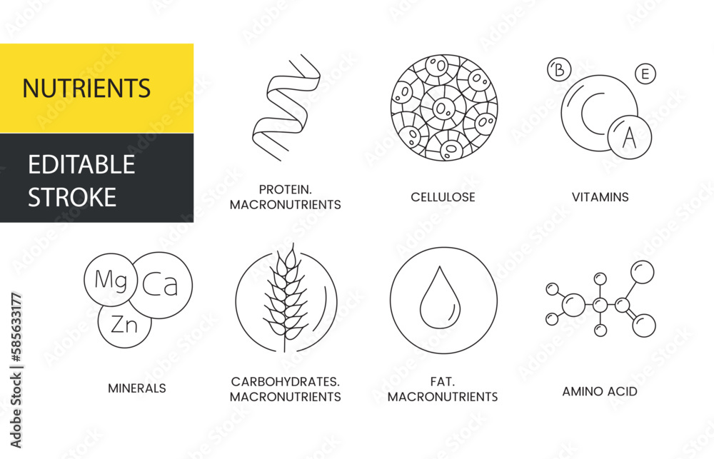 Photo & Art Print Nutrients vector line icon, illustration of protein ...