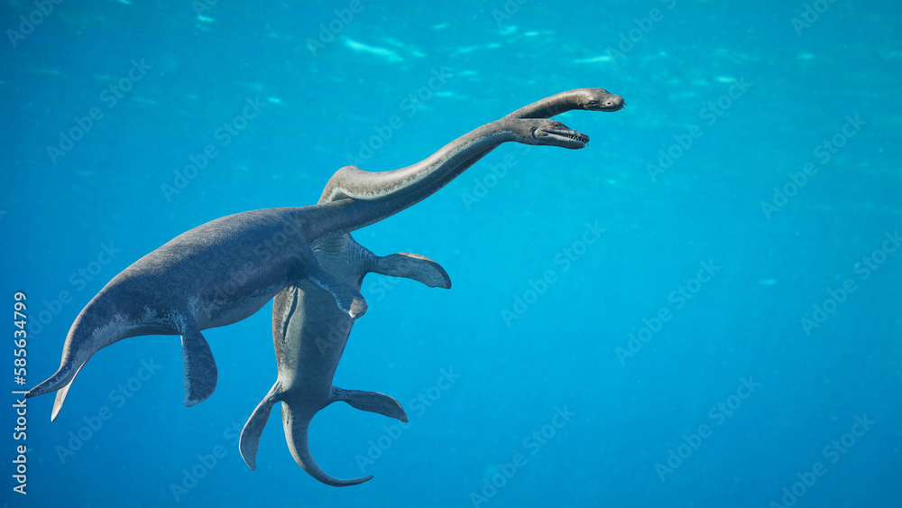 Elasmosaurus, majestic long-necked plesiosaur couple swimming in the ...