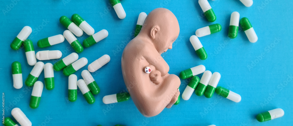 Fetus medicine embryo model and treatment concept for classroom ...