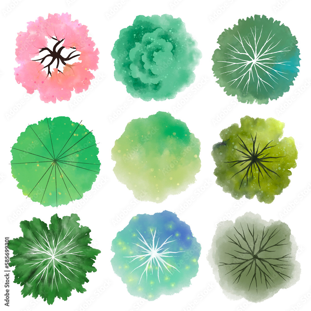 Title: Set of Architectural plans trees isolated on white background ...