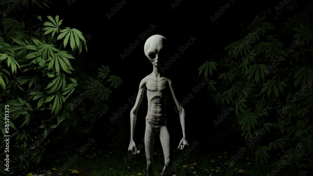 High Bpm lights Matte background Marijuana Forest Alien Walking Ufo ...