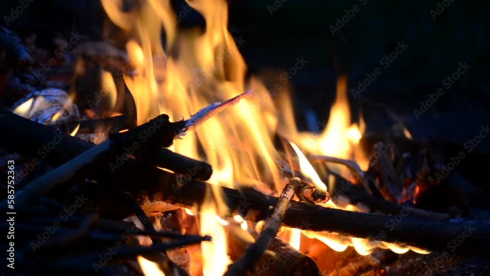 Bonfire. Burning bonfire. Dry branches burning in fire. Ash and flame ...
