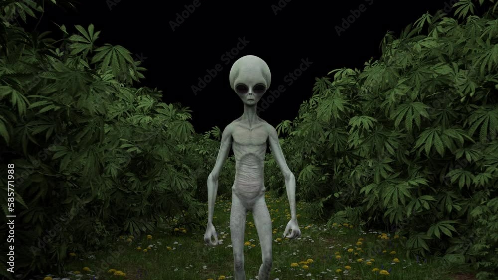 Extraterrestrial creature walking inside weed forest Ufo Body Trippy Vj ...