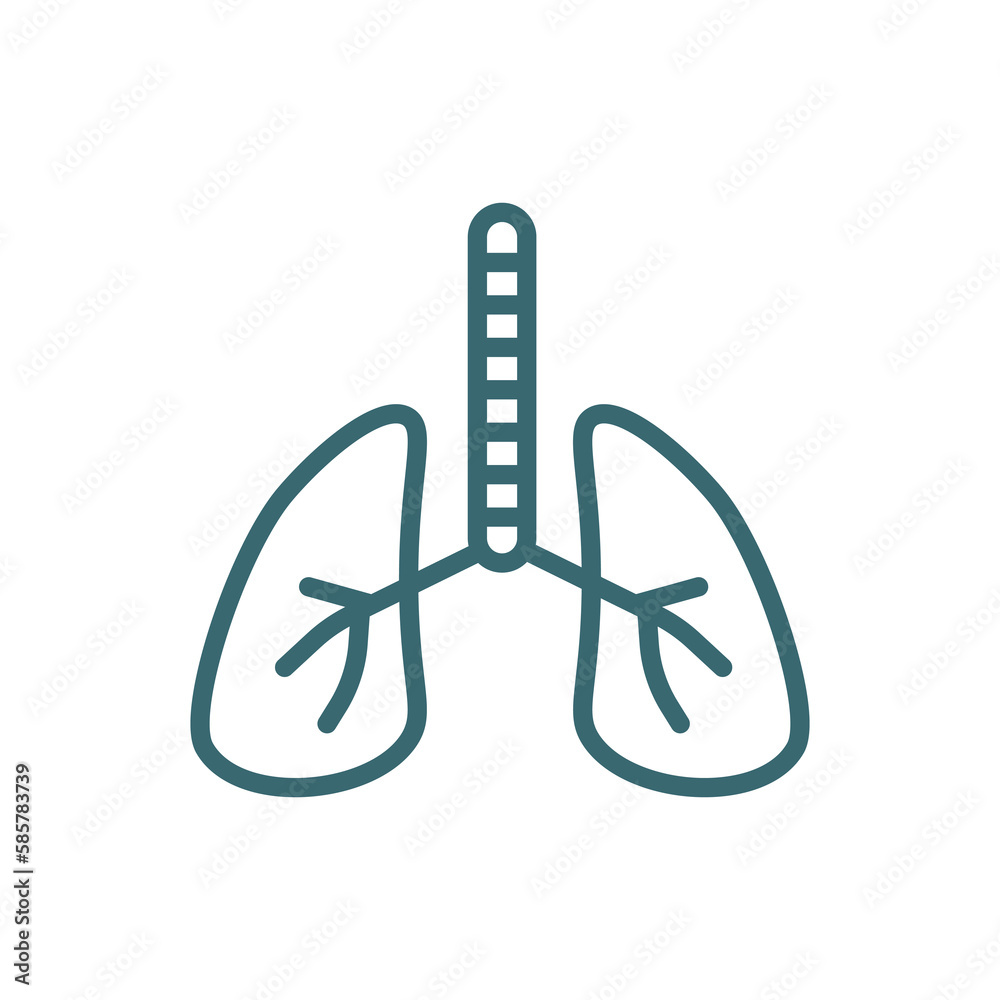 lungs icon. Thin line lungs icon from medical collection. Outline ...