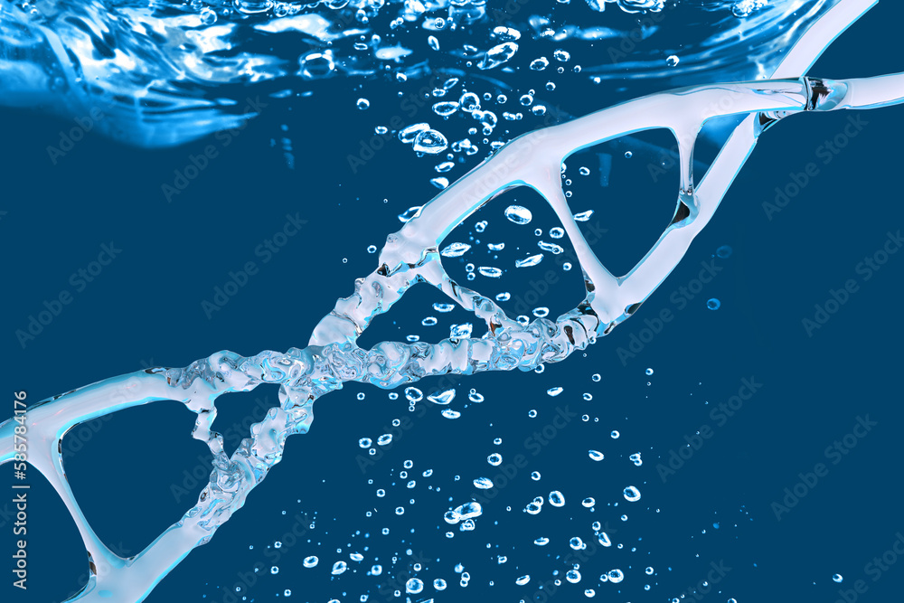 human dna structure helix, deoxyribonucleic acid, nucleic acid ...