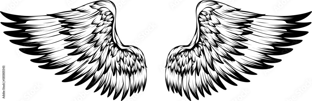 Bird wings illustration tattoo style. Hand drawn design element. Stock ...