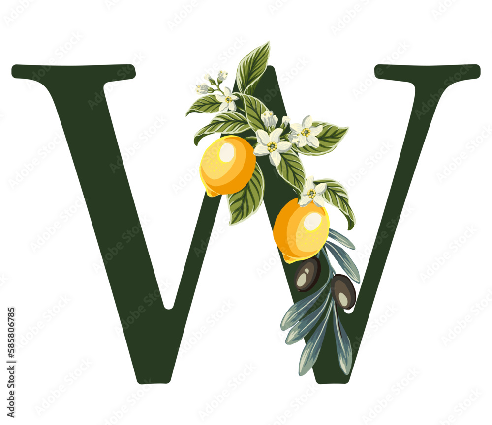 letter W from Alphabet with lemons and olive branches illustration ...