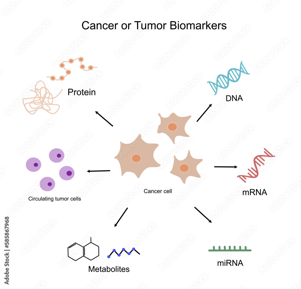 The important biomarkers of cancer or tumor cells for medical diagnosis ...