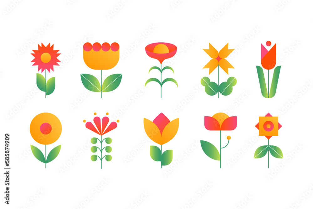 Geometric Flower Shapes