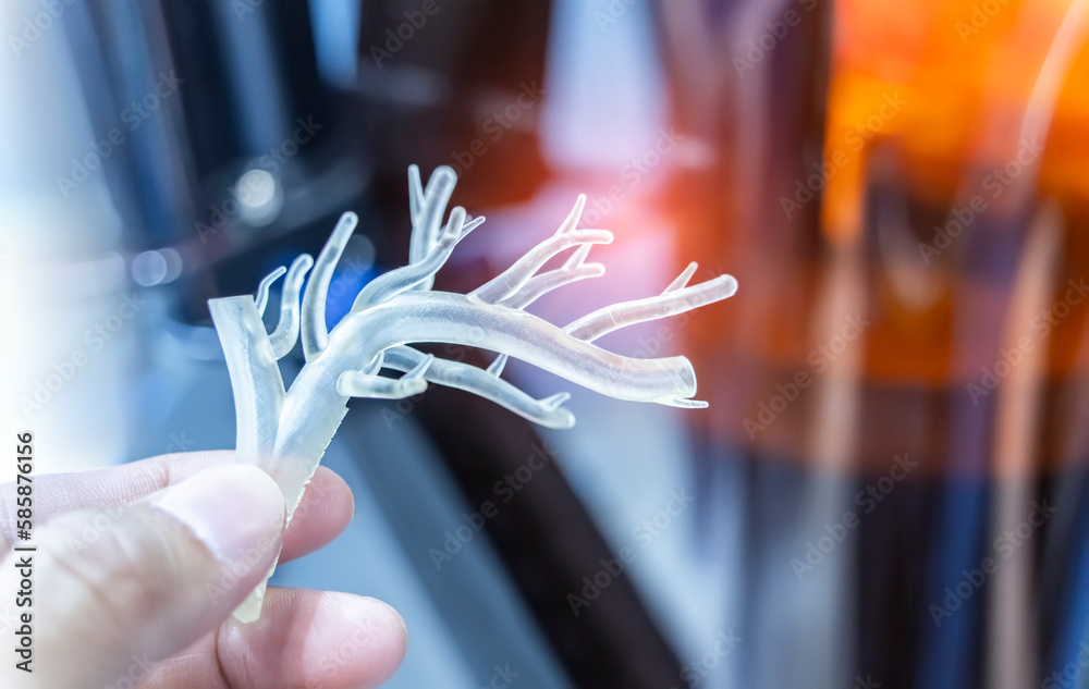 hand with object in shape of medically accurate a human blood vessel ...