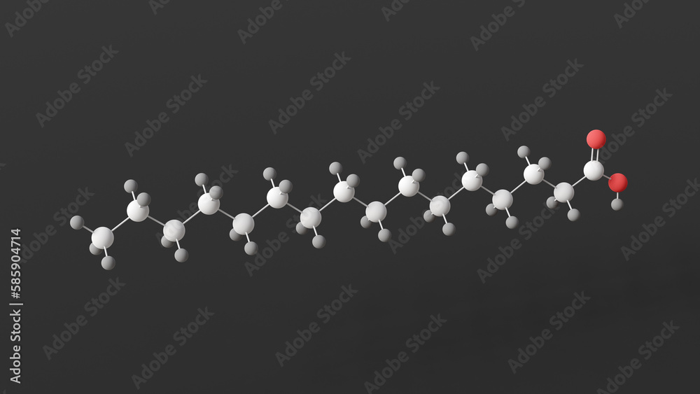 palmitic acid molecule, molecular structure, hexadecanoic acid, ball ...