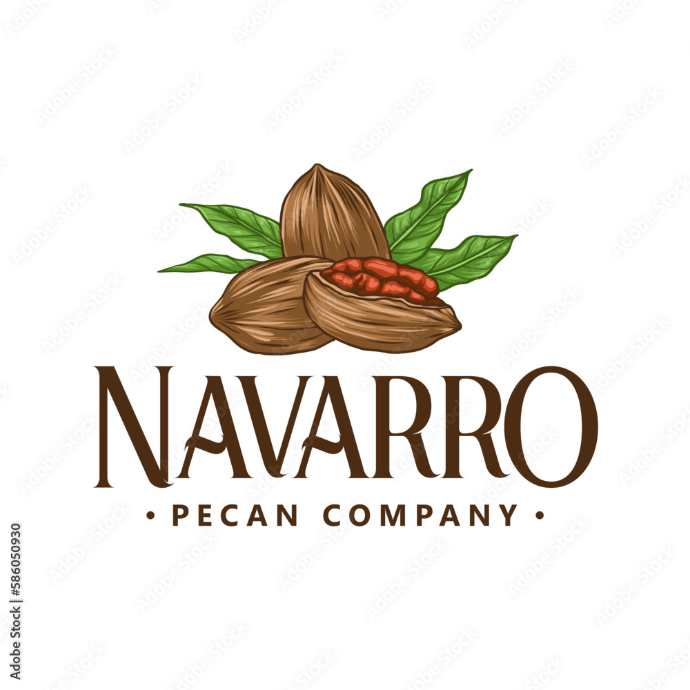 Pecan Nuts Company Logo Template Hand Drawn Illustration and Vector ...