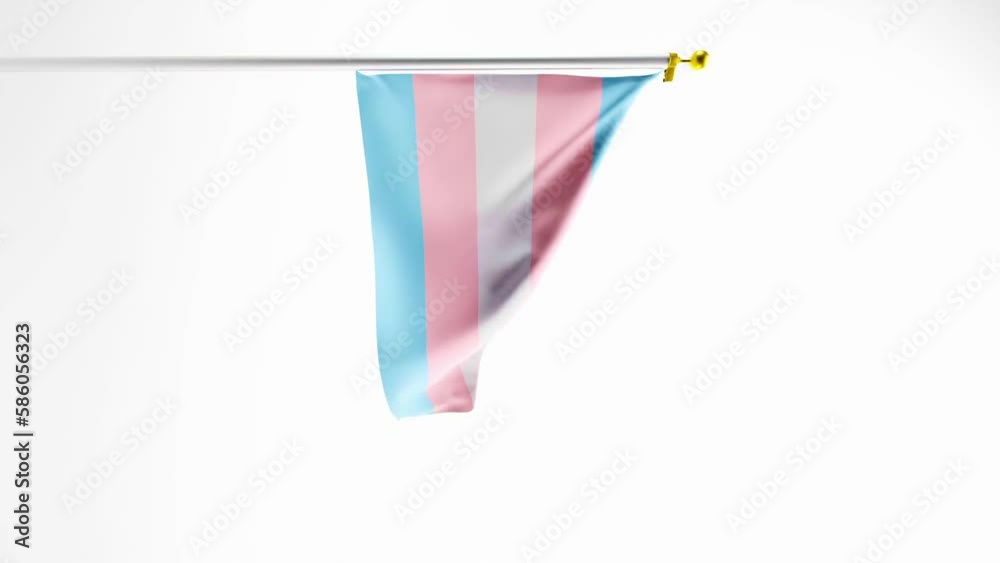 Vertical video of Transgender Pride Flag flapping against white ...
