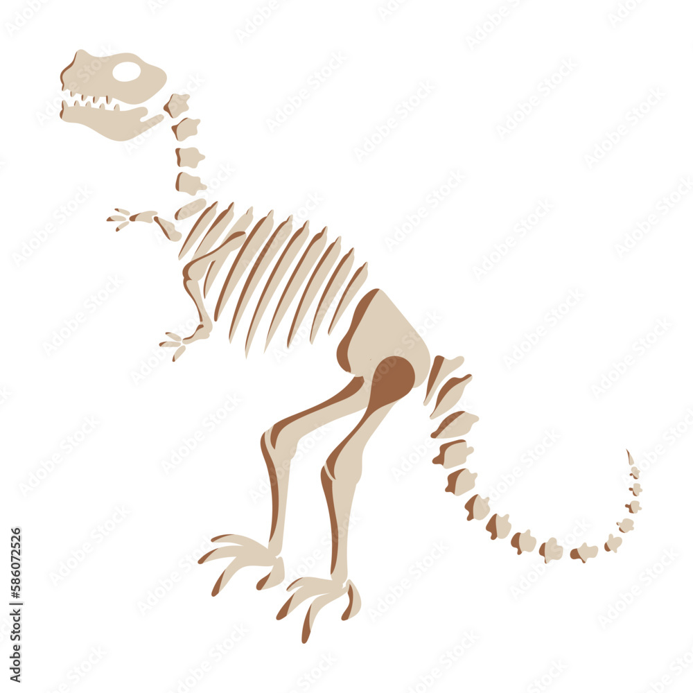 T rex dinosaur skeleton illustration. Prehistoric creature bones ...