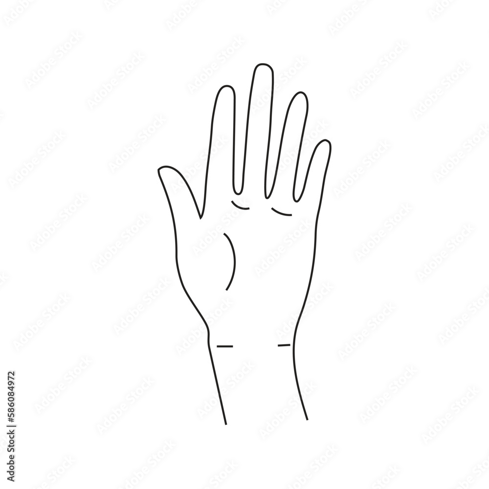hand gesture woman showing hands cartoon human palm and wrist vector ...