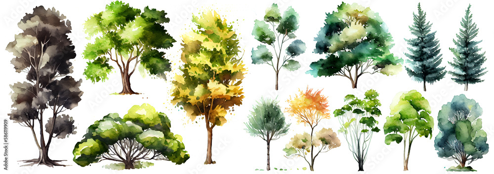 Watercolor trees collection. Set of hand drawn trees. Forest tree pack ...