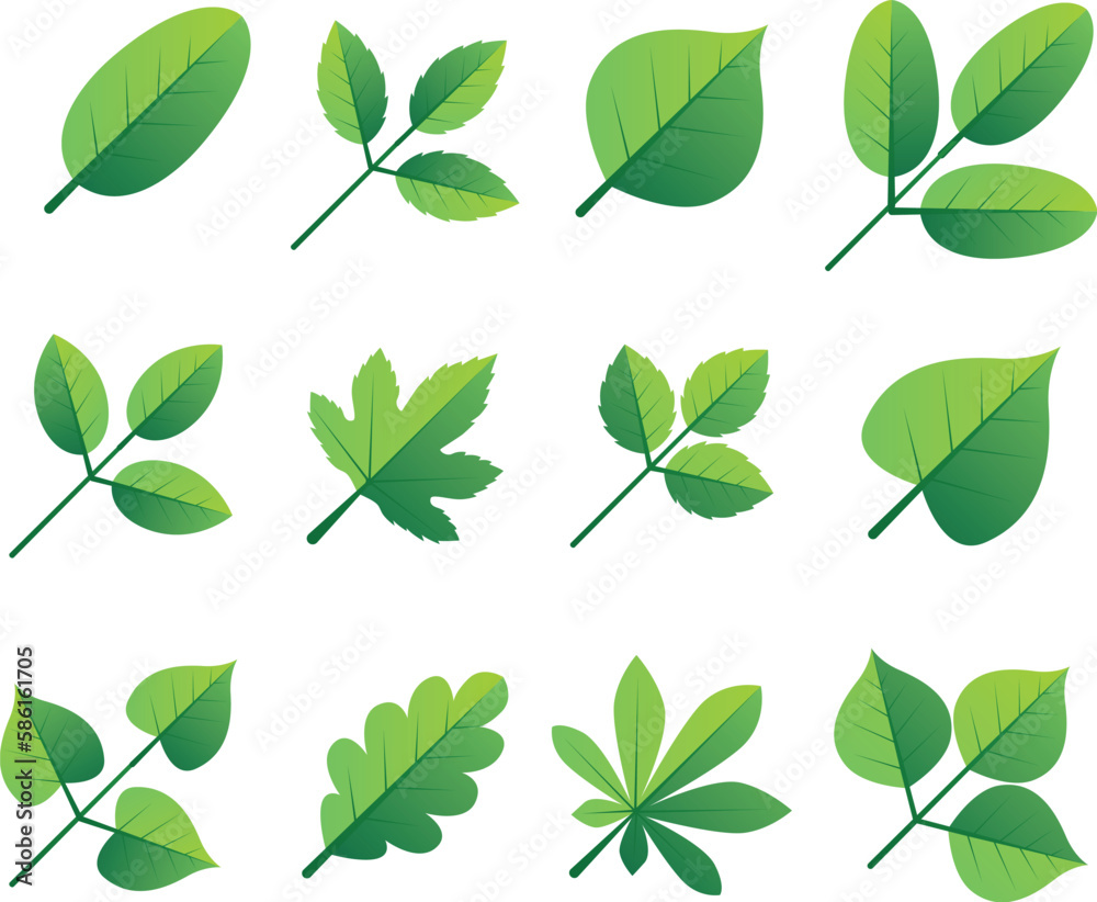 Set of different green leaf icons. Leaves icon. Leaves of trees and ... Set of different green leaf icons. Leaves icon. Leaves of trees and ...