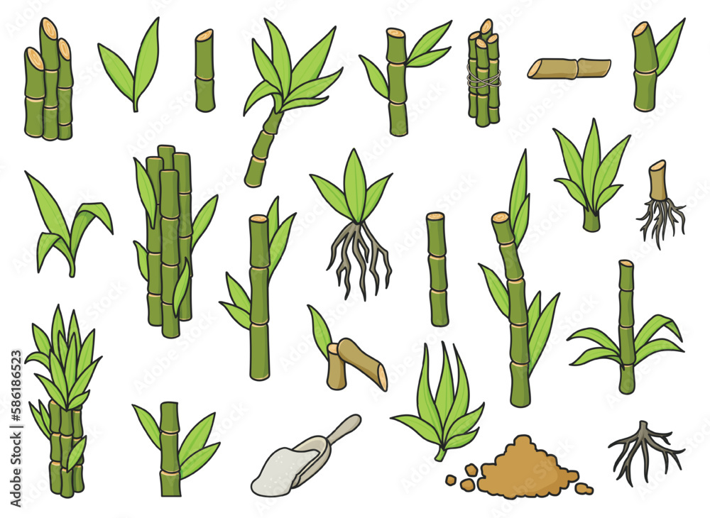 Vecteur Stock Sugar cane color vector illustration on white background.Sugarcane set icon.Vector ...