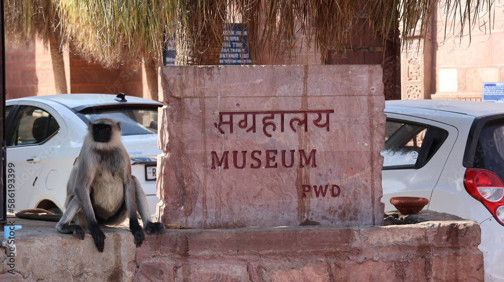 Jodhpur, Rajasthan, India 2nd March 2023: Mandore or Mandor gardens and ...