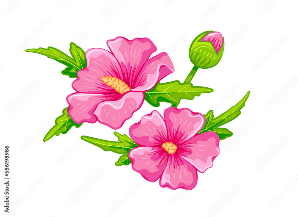 Cluster of tropical pink Hibiscus flowers with jungle leaves. Vector ...