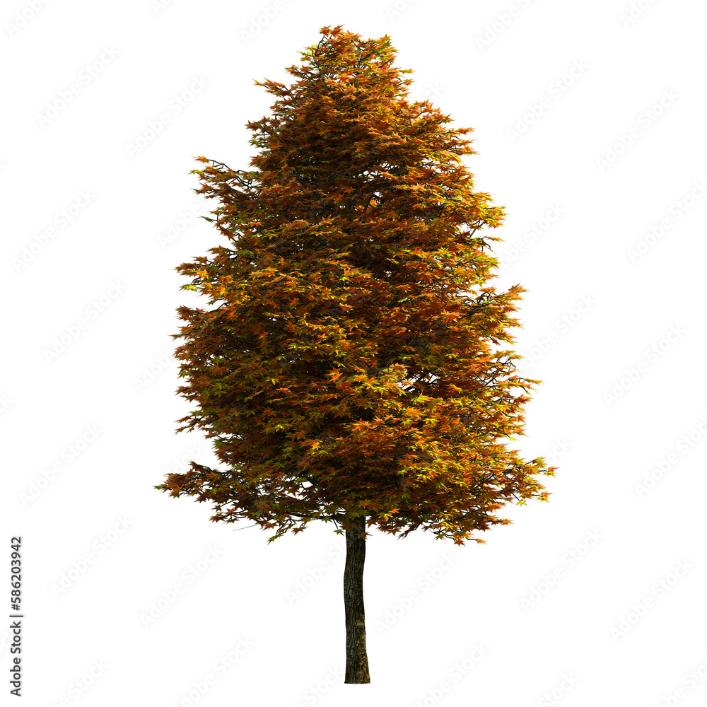 Real orange Tree Cliparts, tree overlays png, Realistic Look Green Tree ...