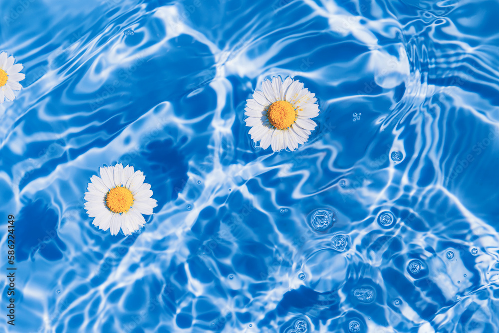 Transparent Water Tumblr