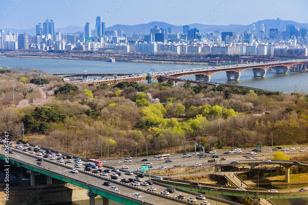 Seoul Han river scenery in spring, green and pink seoul forest, Seongsu ...