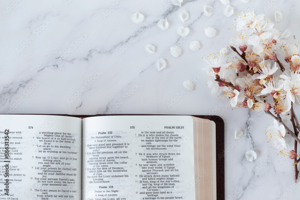 Open holy bible book and beautiful spring tree branch with flowers and ...