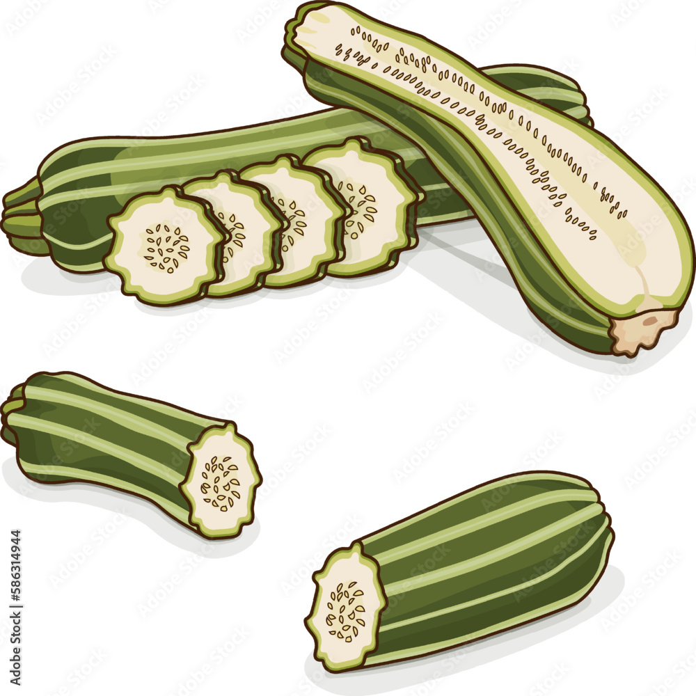 Whole, half, quarter, slices of Costata Romanesco squash or Ribbed ...