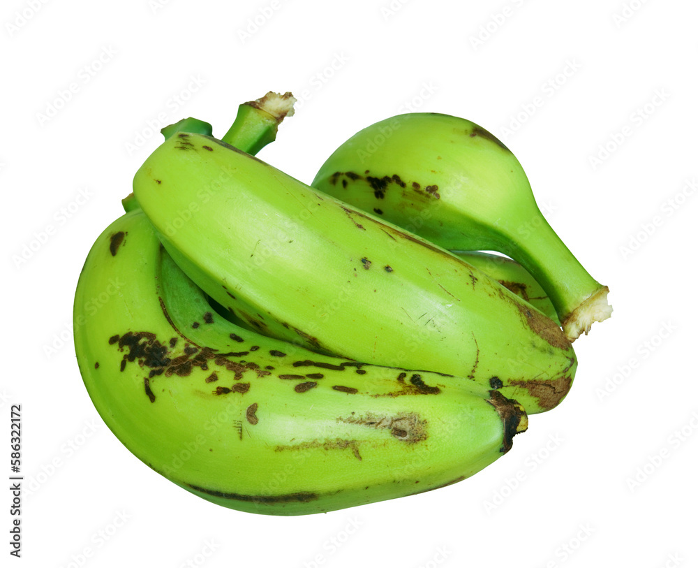 Type of banana called guineo or bocadillo (Musa acuminata) isolated in ...