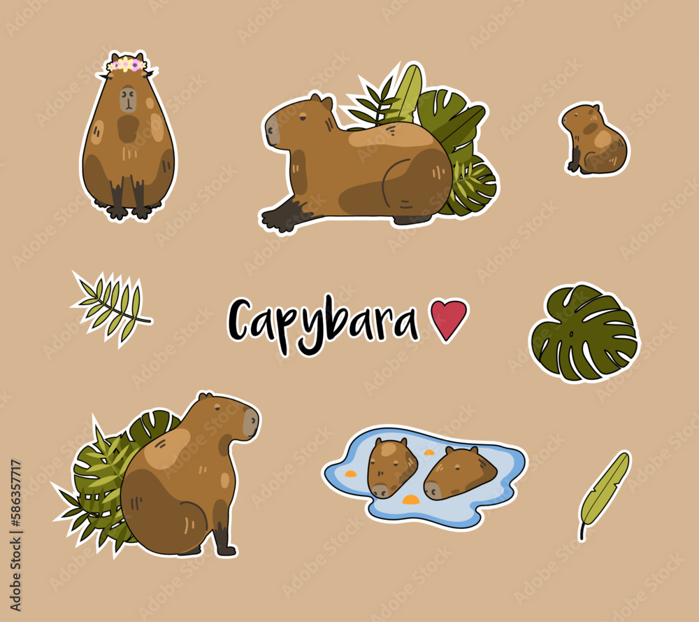 Capybara stickers in a cartoon flat style. Set of stickers with cute ...