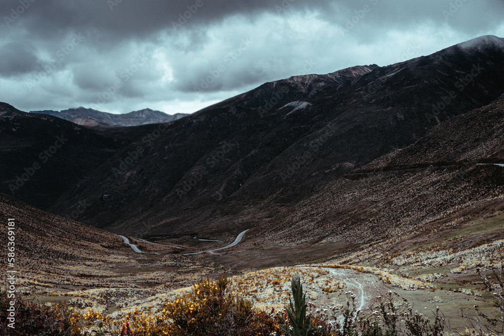 photos of the mountains, páramos, lagoon Mucubaji and frailejones of ...