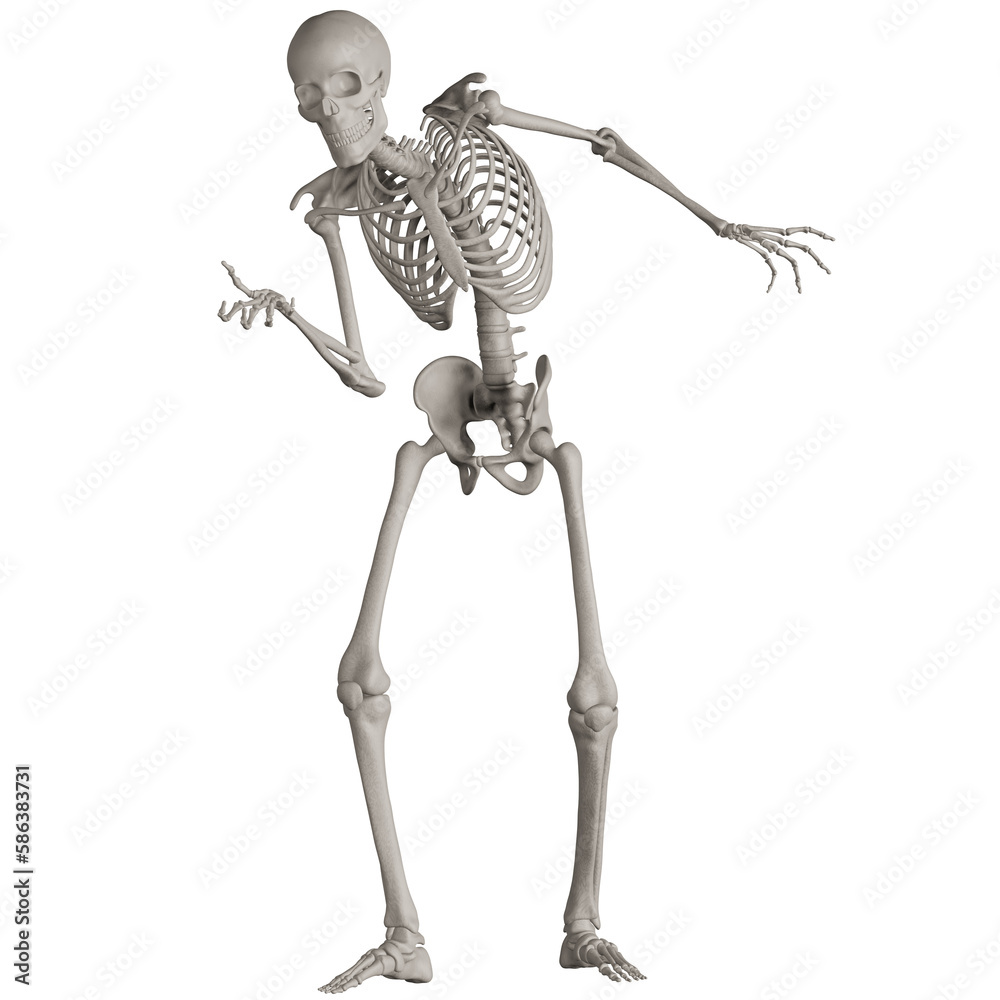 skeleton posing 3d render illustration with transparent background ...