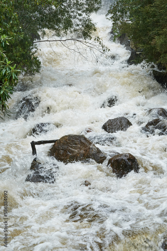 The Toorongo River is a perennial river of the West Gippsland catchment ...