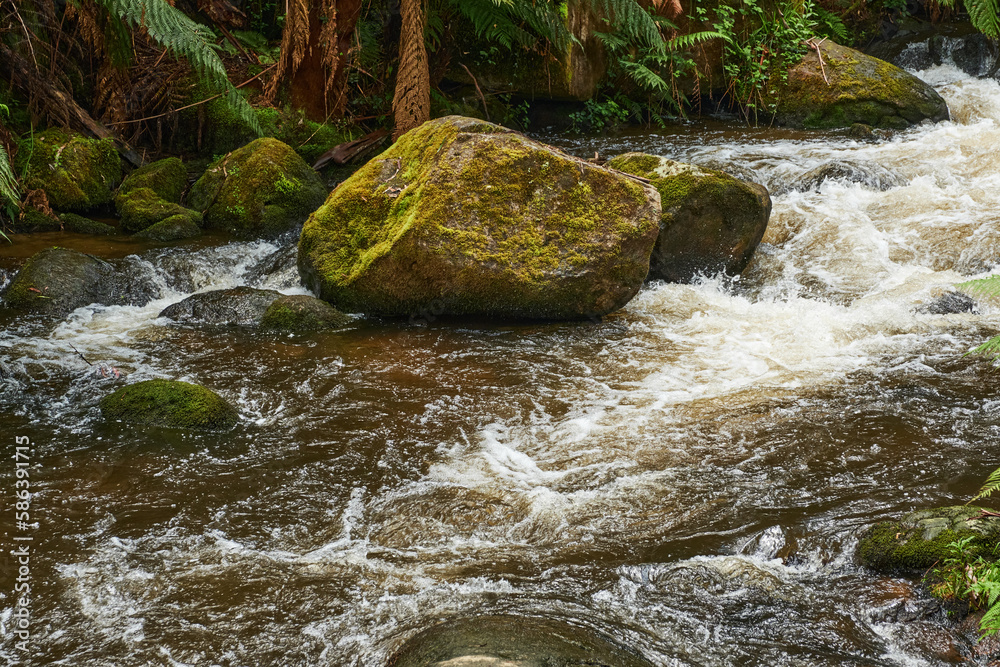 The Toorongo River is a perennial river of the West Gippsland catchment ...