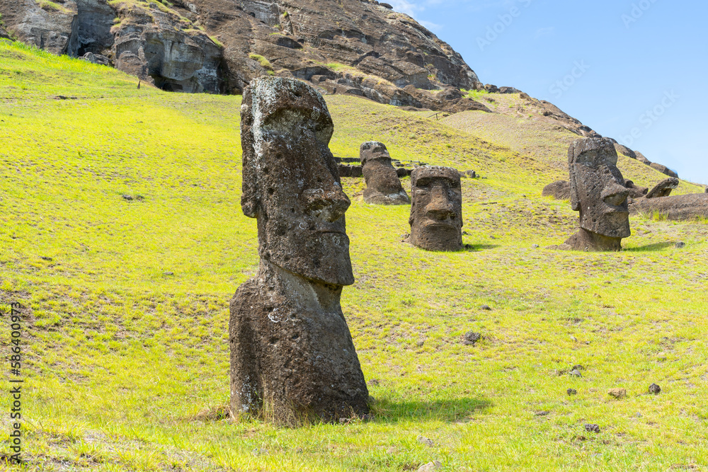 Moai heads on the slope of Rano Raraku on Easter Island (Rapa Nui ...