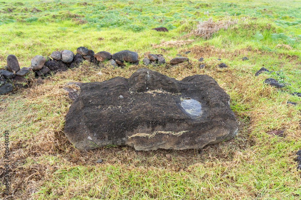 Easter Island, Chile - February 28, 2023: A Moai head in the ground ...