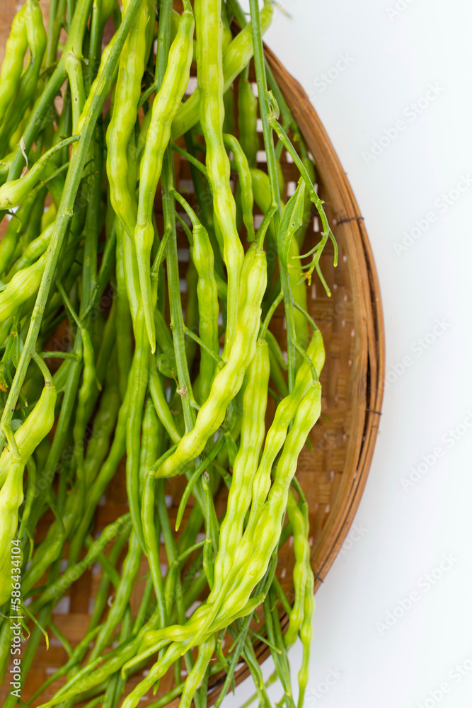 Rat-tailed radish. Fresh organic vegetables Stock Photo | Adobe Stock