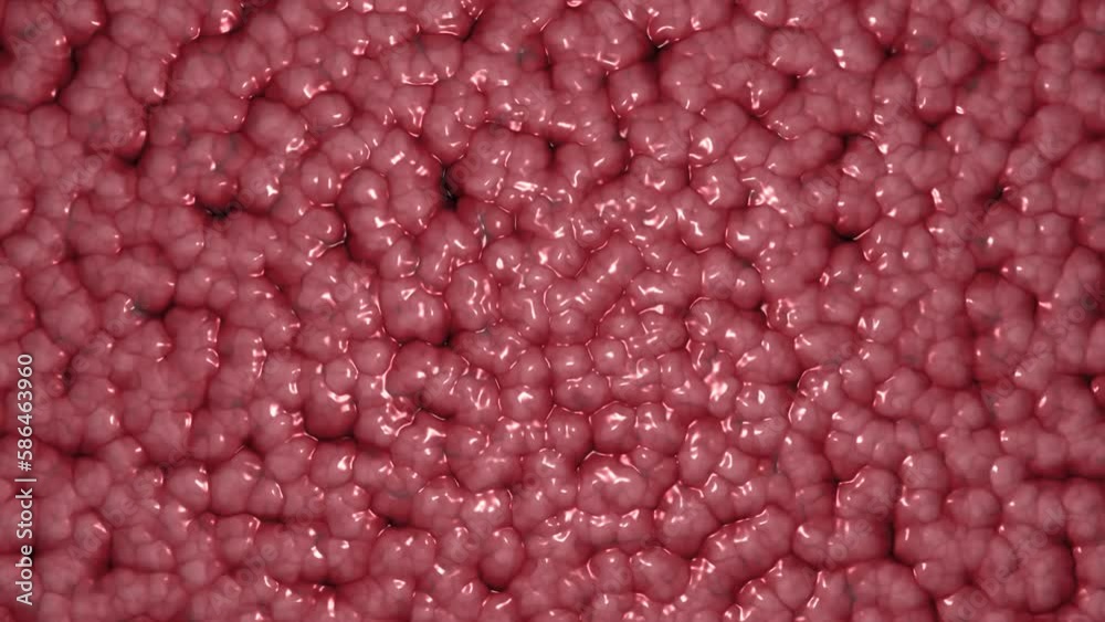 Blood cells movement under a microscope. Red blood cells, white blood ...