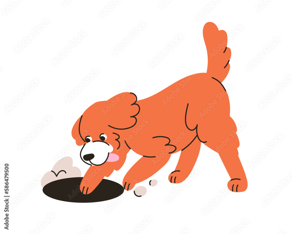 Cute dog digging hole with paws. Funny little puppy, canine animal ...